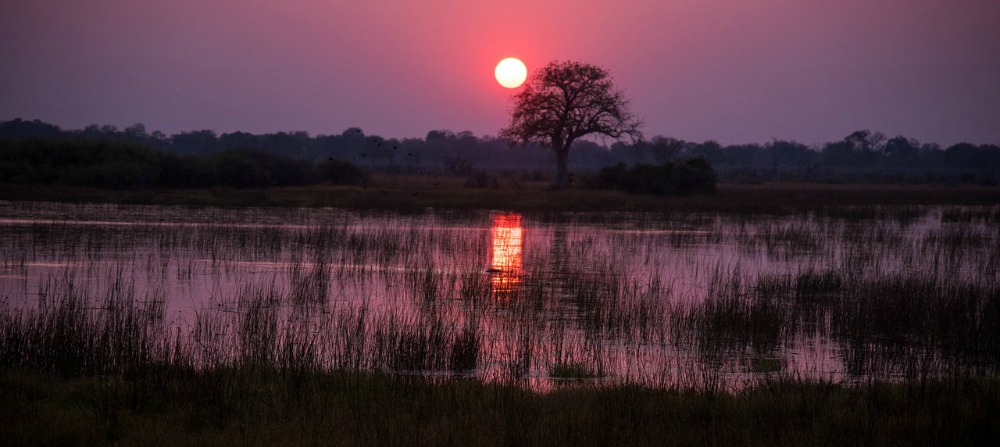 Chobe National Park Botswana, Travel tips for best wildlife watching